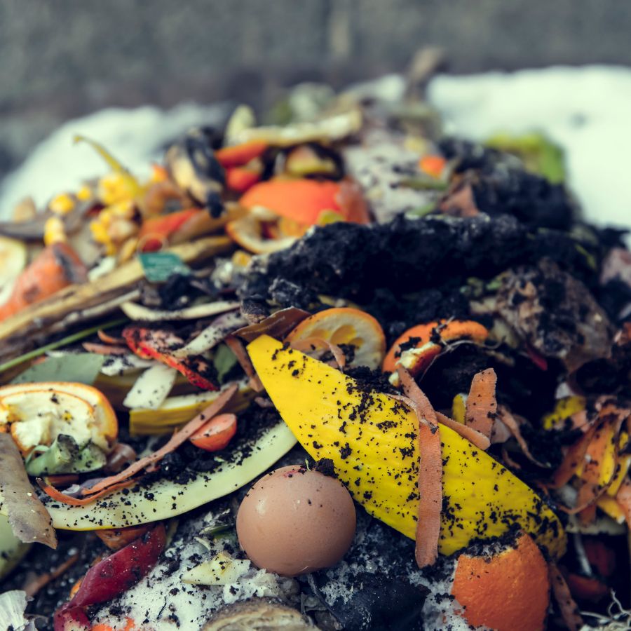 No nākamā gada BIO atkritumu šķirošana būs obligāta - Getliņi EKO